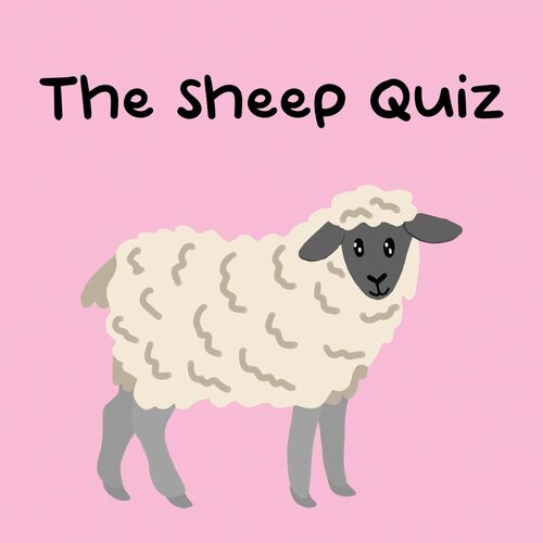 The Sheep Quiz Deku Deals the-sheep-quiz-deku-deals