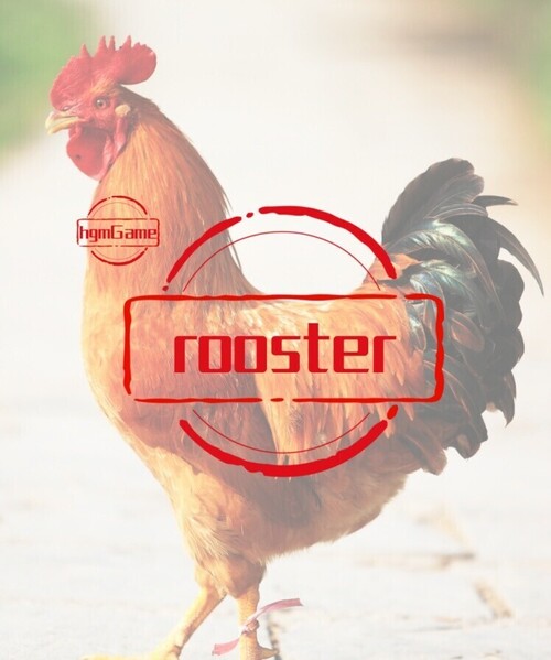 hgmGame-rooster | Deku Deals