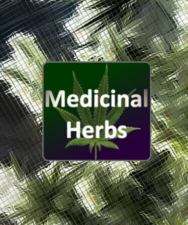 Medicinal Herbs - Cannabis Grow Simulator | Deku Deals