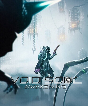 Void Soul Awakening | Deku Deals