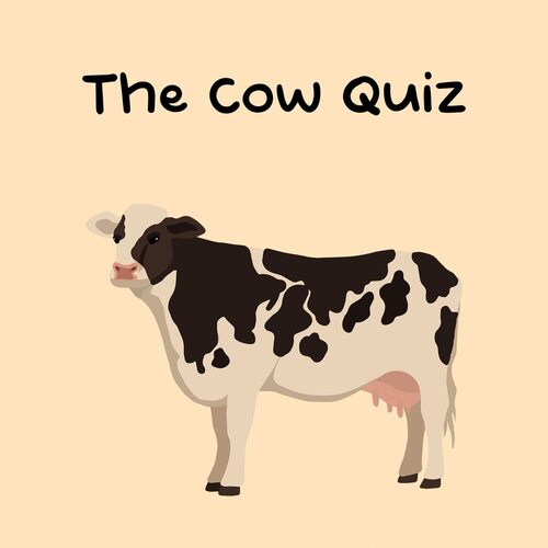 The Cow Quiz | Deku Deals