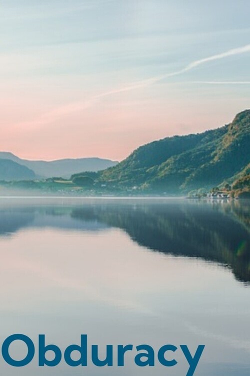 Obduracy | Deku Deals