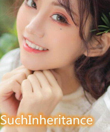 SuchInheritance | Deku Deals