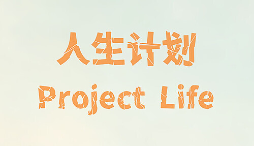 Project Life | Deku Deals
